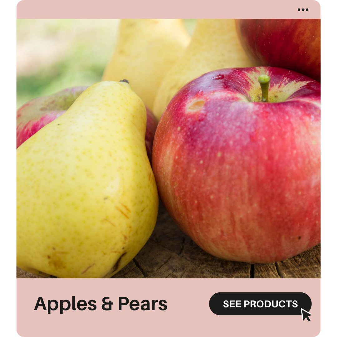 Apples & Pears – Le Mart UK | Premier Food | Drinks | Gifts